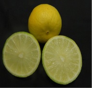 ICAR-indian agricultural research institute