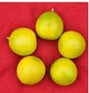 ICAR-indian agricultural research institute